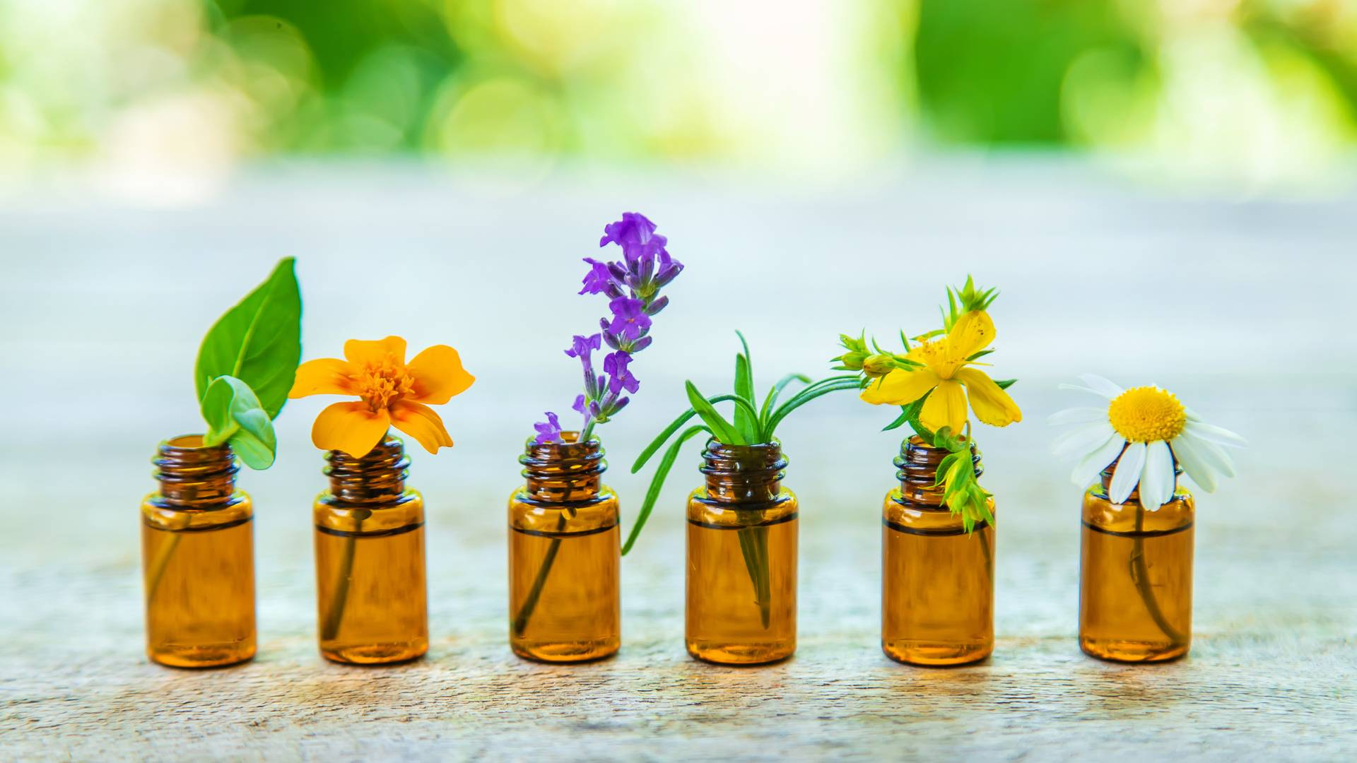 Signature Scents – Secret Scent Aromatherapy & Feng Shui