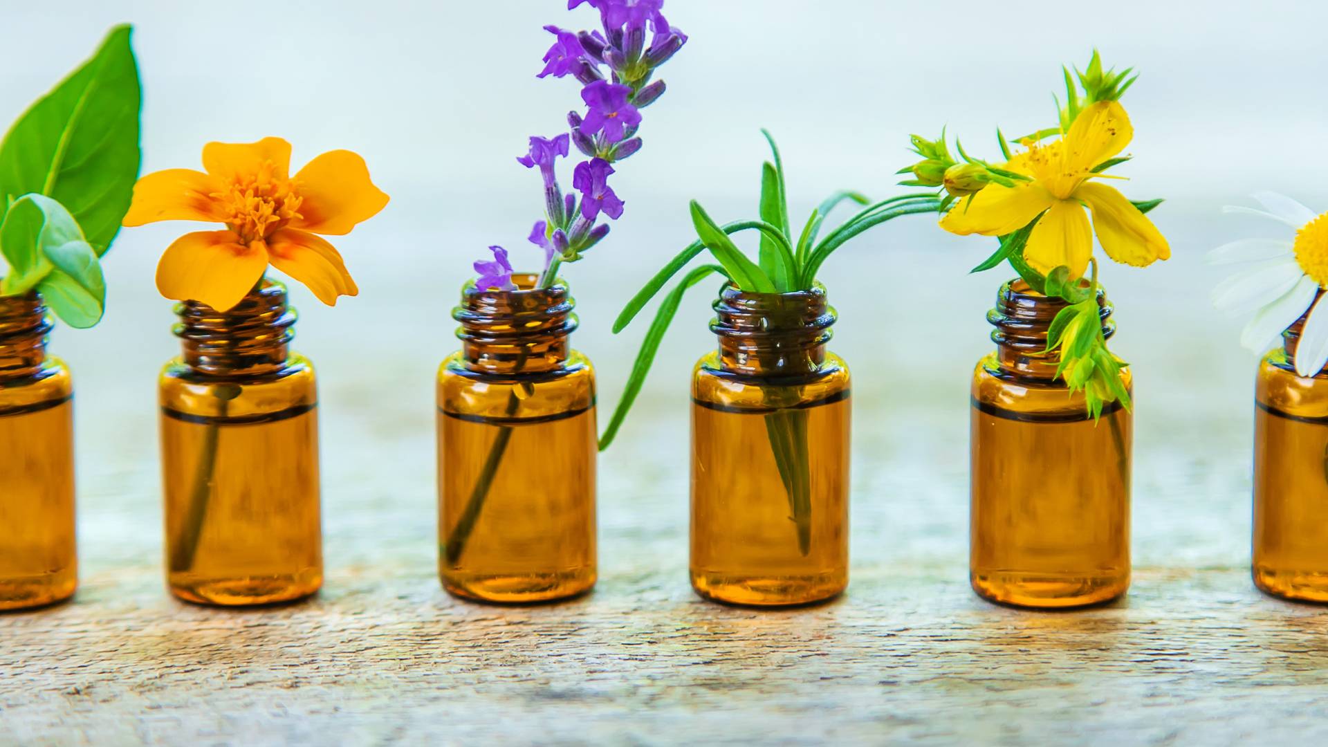 Secret Scent | Aromatherapy & Feng Shui | Sydney, Australia – Secret ...